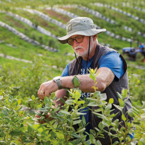 The Changing Landscape of Georgian Agriculture - Georgia Today