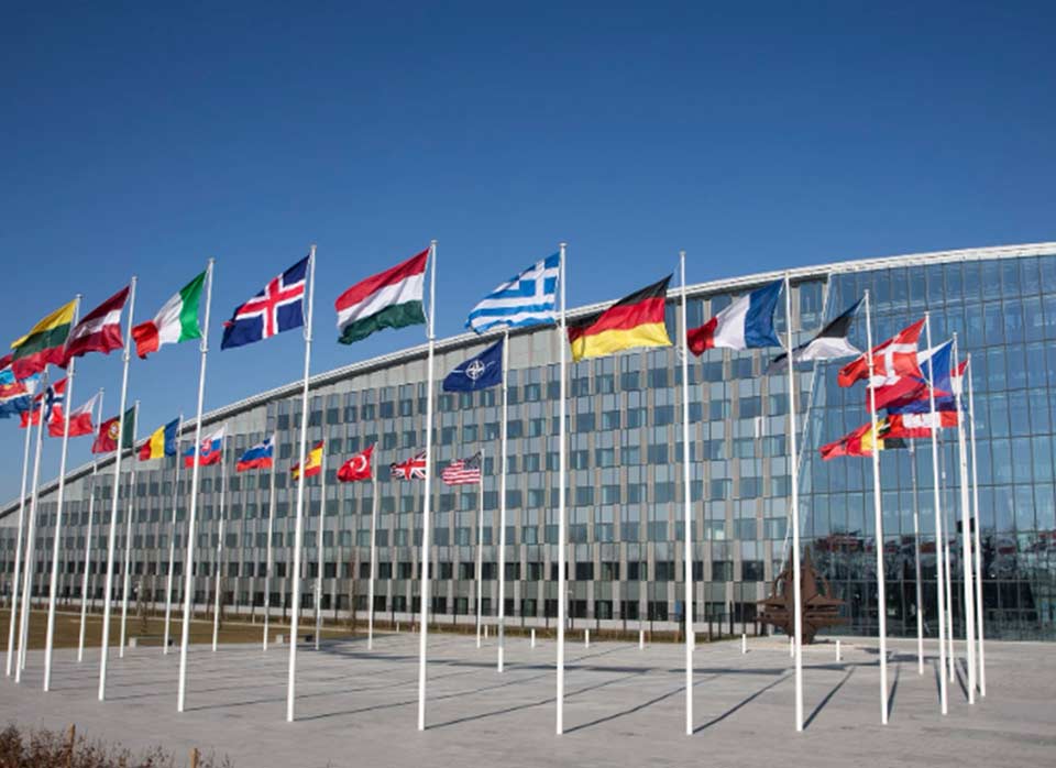 NATO PA Resolutions Call for More Support for Georgia - Georgia Today