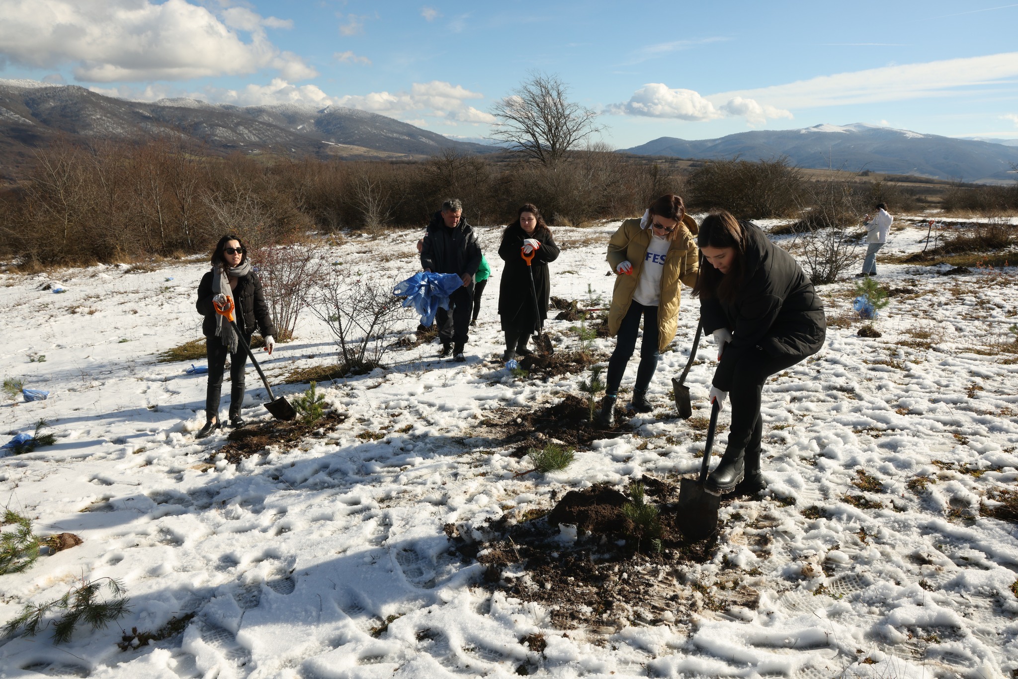 EFES Georgia Has Started Activities to Support the Natural Renewal of ...
