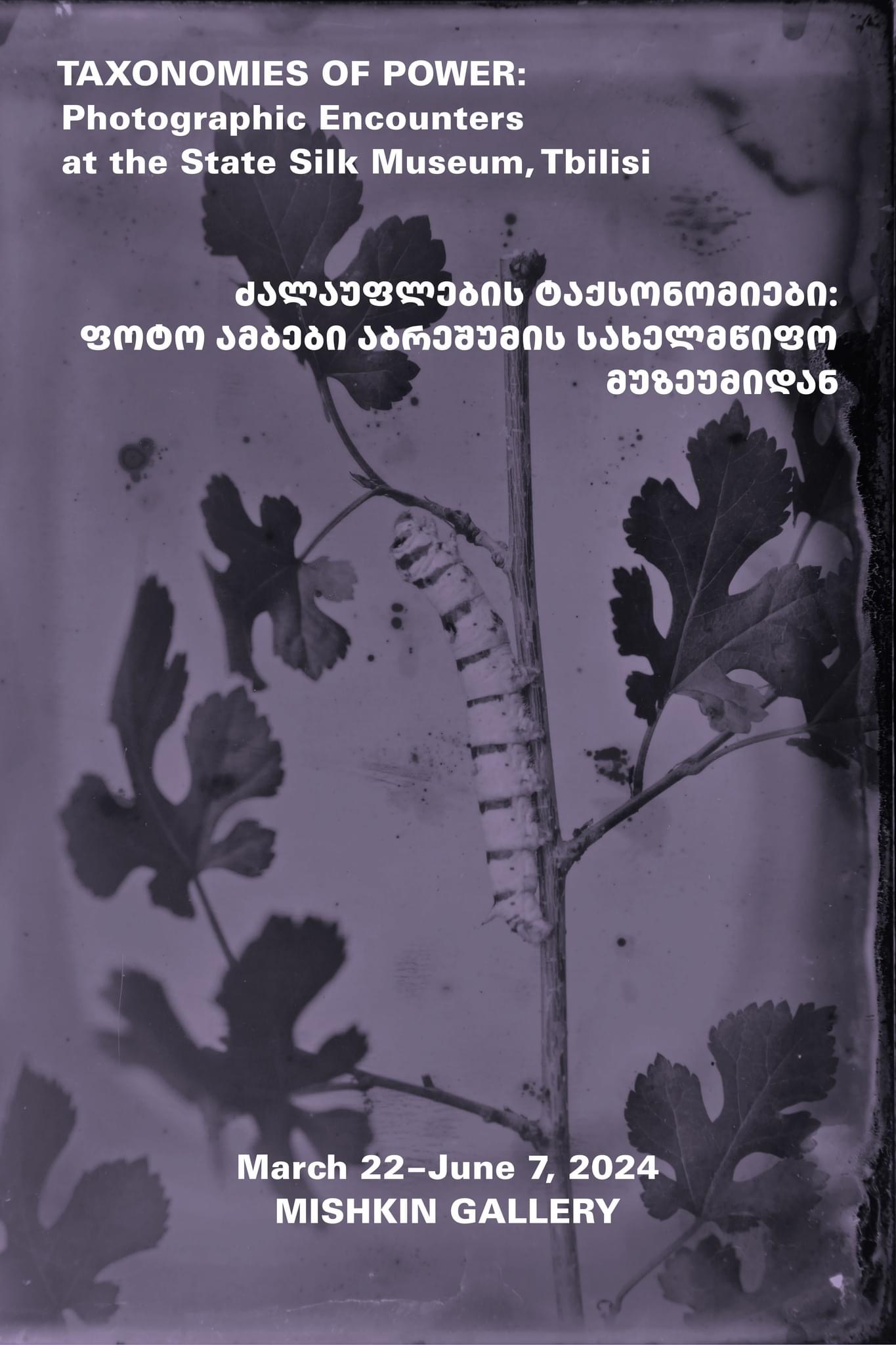 The exhibition Taxonomies of Power: Photographic Encounters at the ...